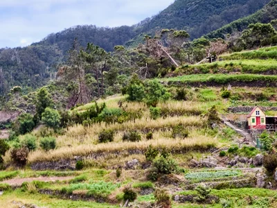 Guided Walking Holidays - Western Madeira